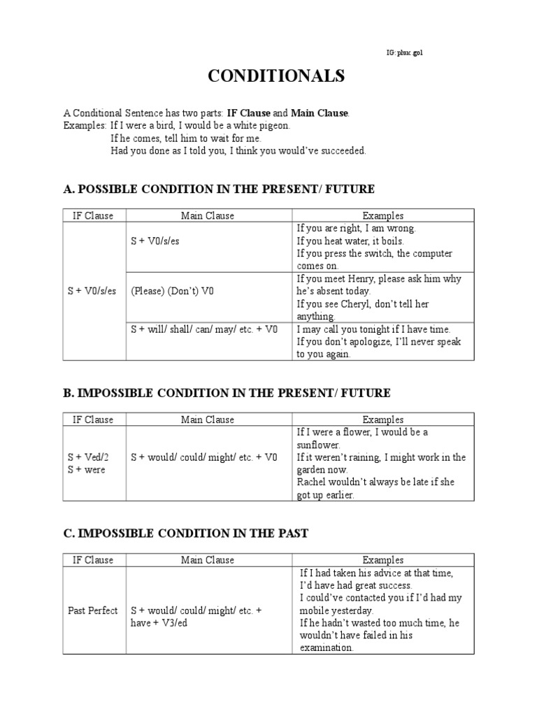 Conditionals & Wishes | PDF | Grammar | Cognitive Science