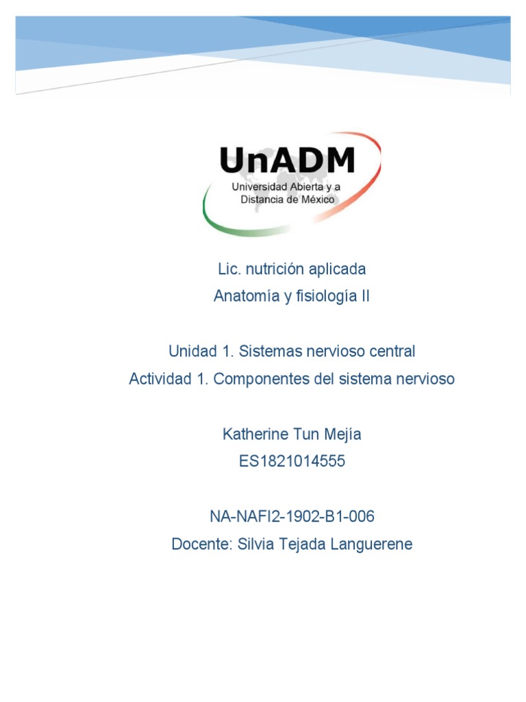 Afi2 U1 A1 Katm | PDF | Sistema nervioso | Nervio