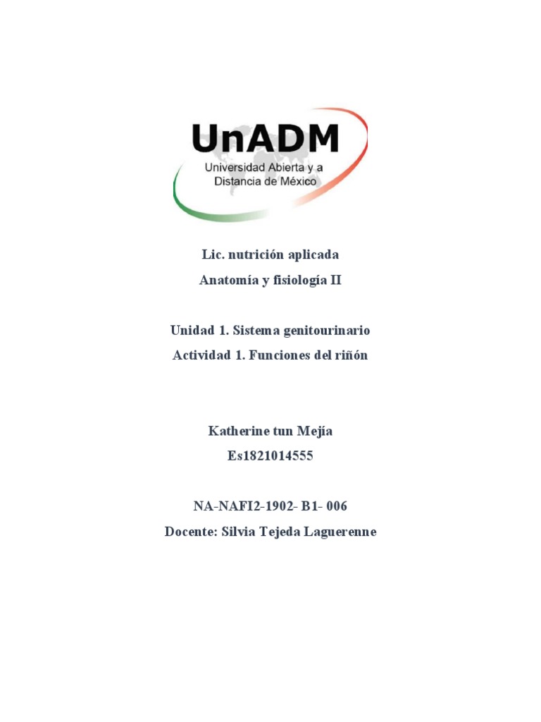 Afi2 U2 A1 Katm | PDF | Riñón | Anatomia animal