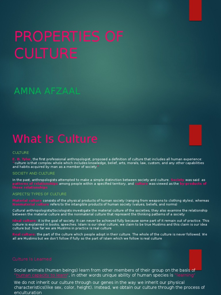 Understanding Cultural Properties | PDF | Anthropology | Society