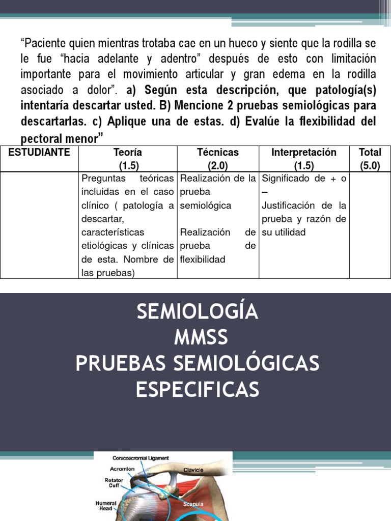 Pruebas Especã - Ficas Completa PDF | PDF | Rodilla | Hombro