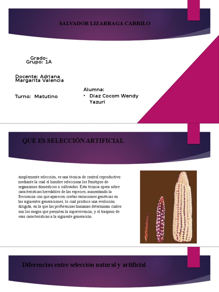 Selección Artificial: Conceptos y Tipos | PDF | Crianza selectiva ...