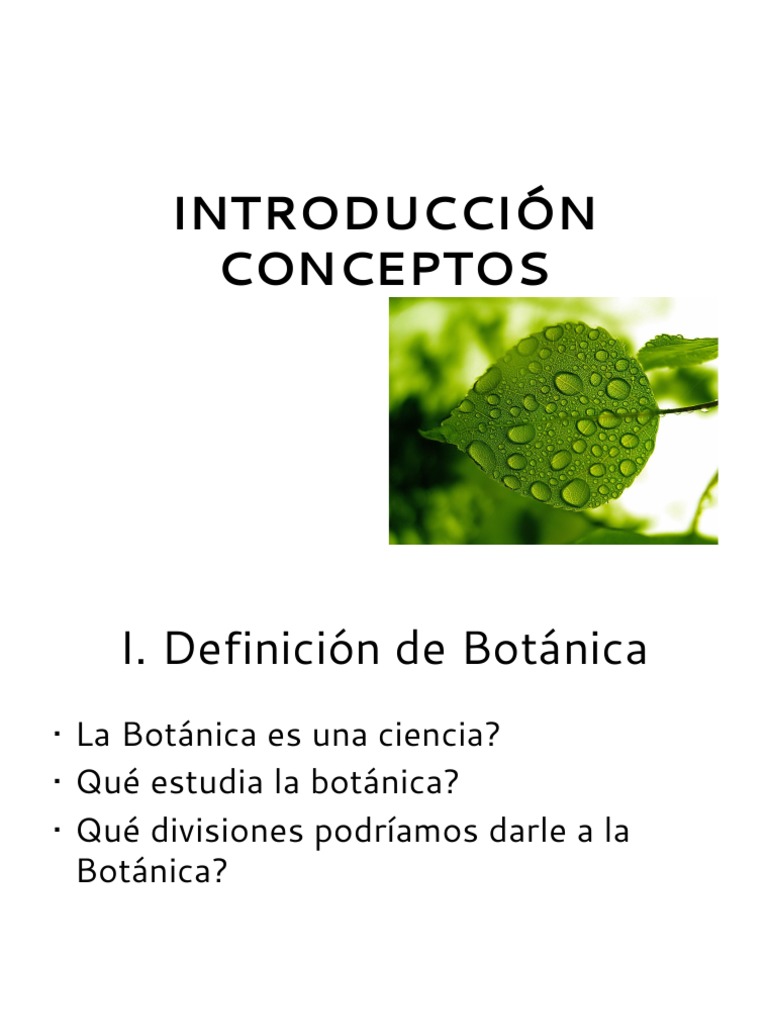 Conceptos de Botánica | PDF | Plantas | Hoja