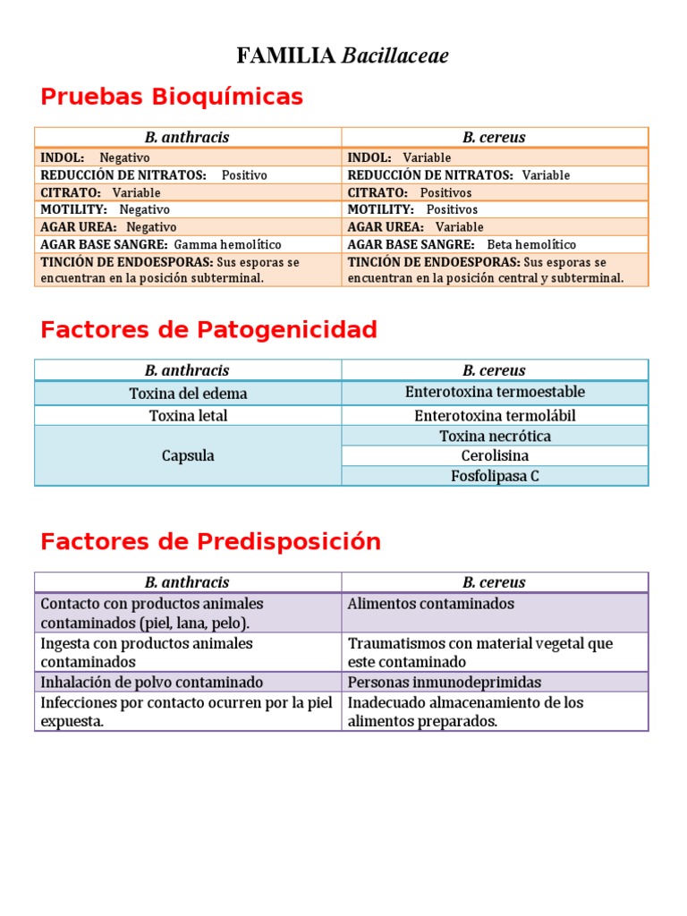 Cuadro Comparativo B y C | Descargar gratis PDF | Ántrax | Microbiología