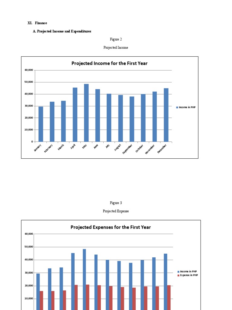 Projected Income For The First Year | PDF | Income | Wealth