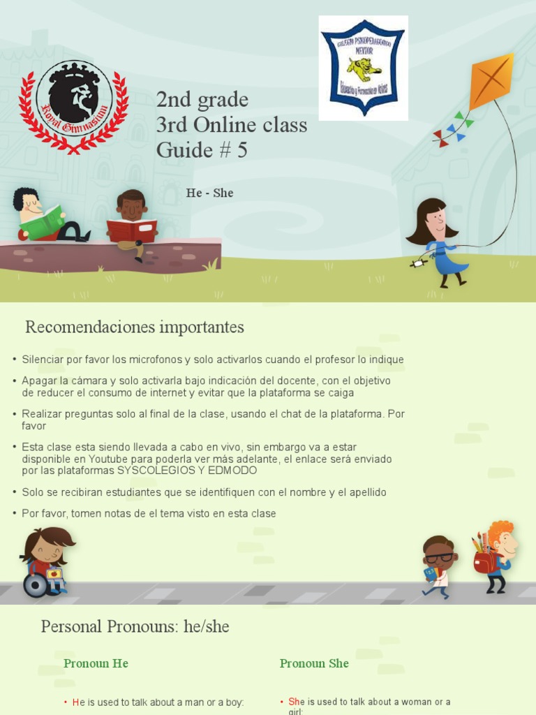 2nd-3rd Grade Pronouns Class Guide | PDF