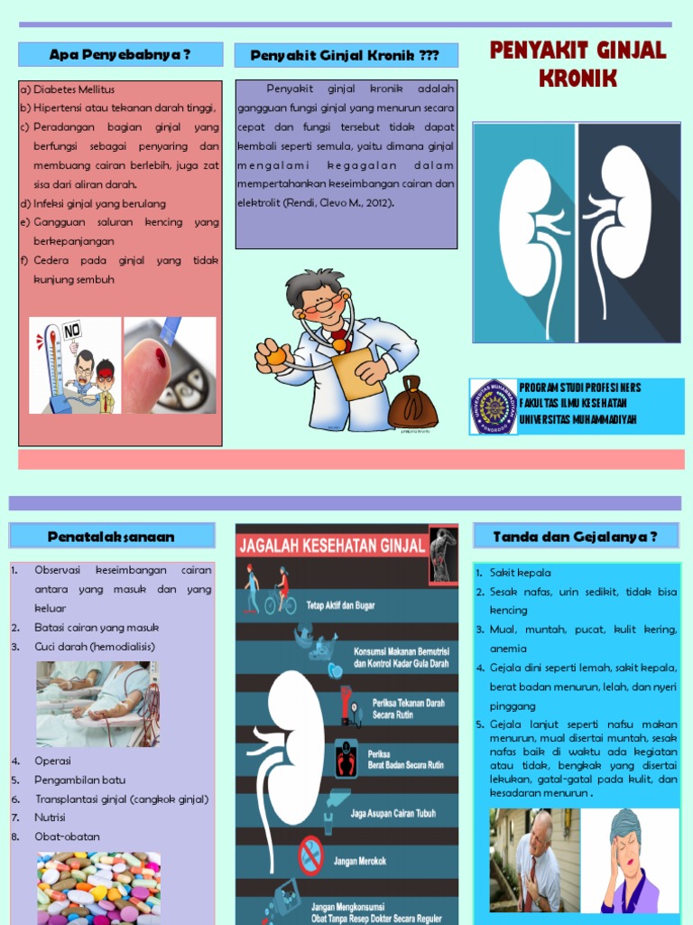 Leaflet CKD | PDF