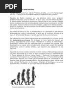 Taller Grado 6 Hominización | PDF | Homo | Evolución humana