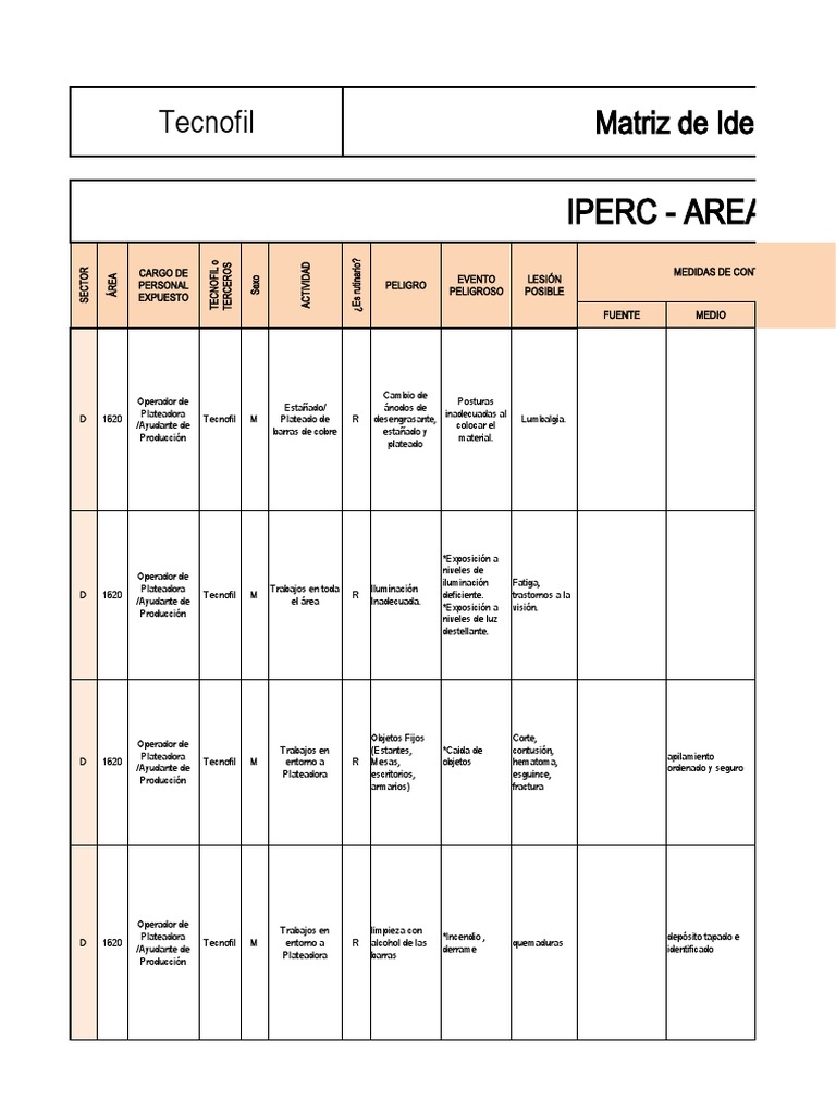 FT-SST - 130 Modelo de Matriz IPERC | PDF | Medicina | Especialidades ...