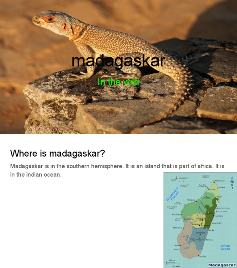 Madagascar's Geography and Location | PDF