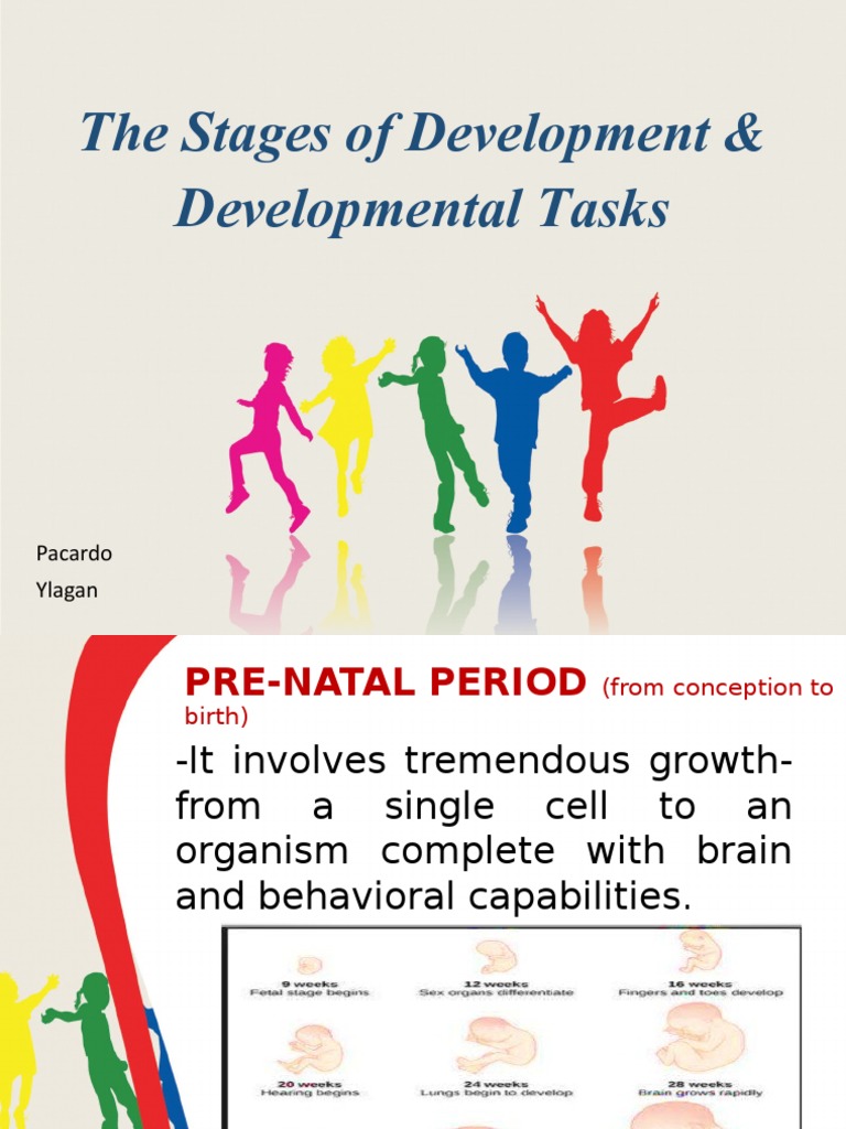 The Stages of Development & Developmental Tasks | PDF