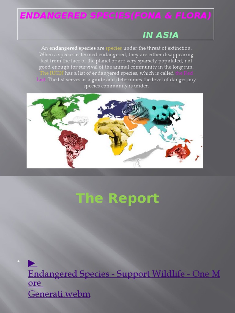 ENDANGERED SPECIES (Fona & Flora) | PDF | Extinction | Human Impact On ...