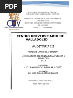 Modelo de Un Informe Largo | PDF | Auditoría financiera | Contabilidad