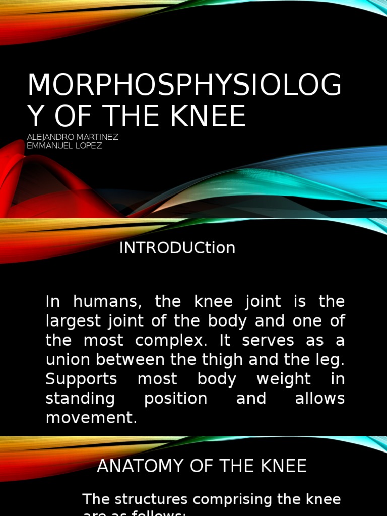 Morphosphysiology of The Knee | PDF | Knee | Musculoskeletal System