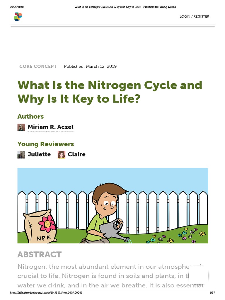 What Is The Nitrogen Cycle and Why Is It Key To Life - Frontiers For ...