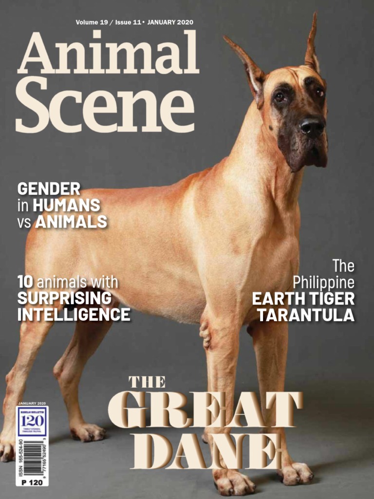 Animal Scene - January 2020 PDF | PDF | Predation | Tiger