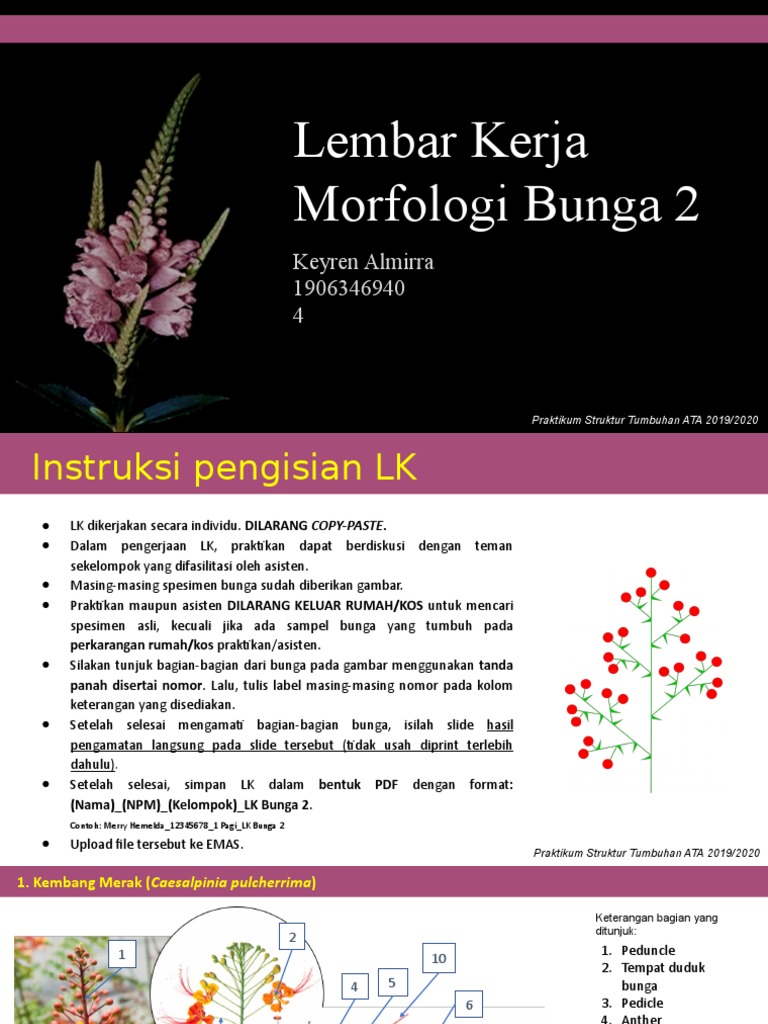 LK Bunga 2 | PDF