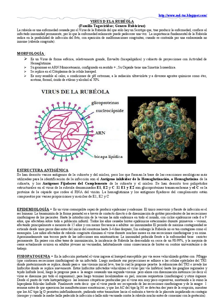 VIRUS DE LA RUBÉOLA | Sarampión | Virus