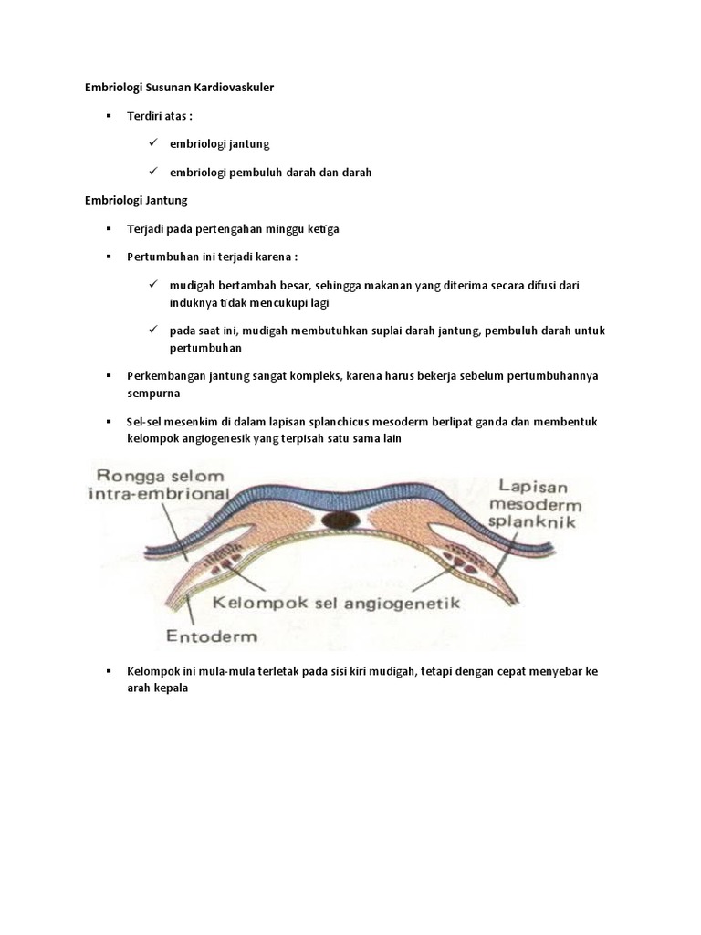 Embriologi Susunan Kardiovaskuler | PDF