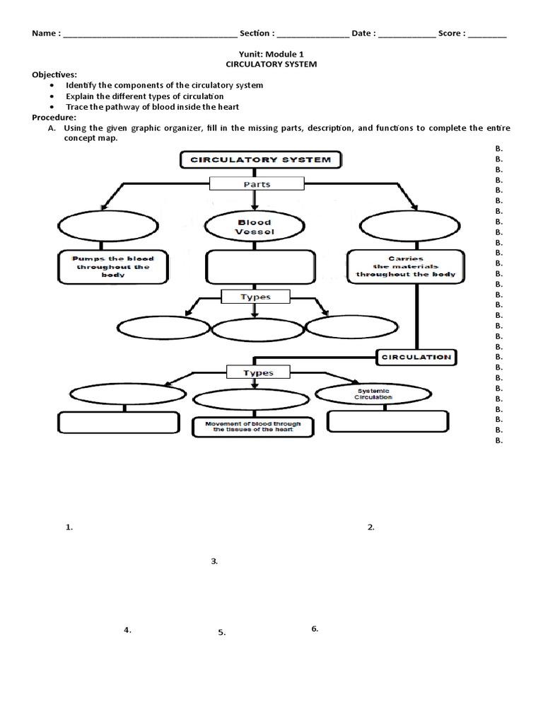Yunit 1 Module 1 Activity Circulatory System Revised | PDF ...
