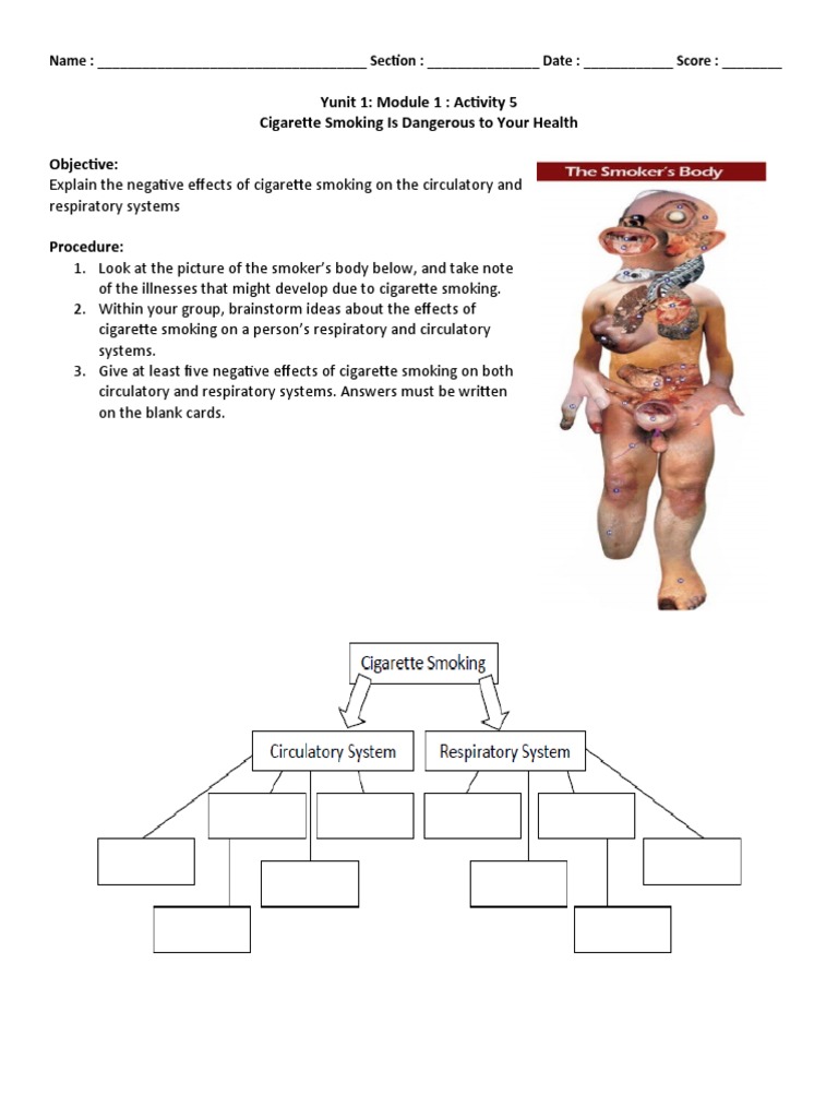 Effects of Smoking on Respiratory & Circulatory Systems | PDF