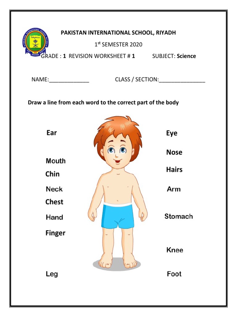 Science Grade 1 Worksheets and Assessments PDF | PDF