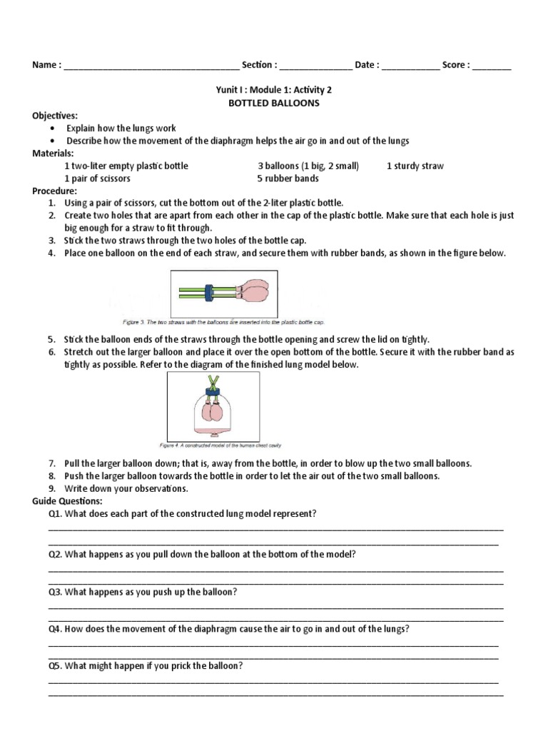 Yunit 1 Module 1 Activity 2 Bottled Balloons | PDF | Nature