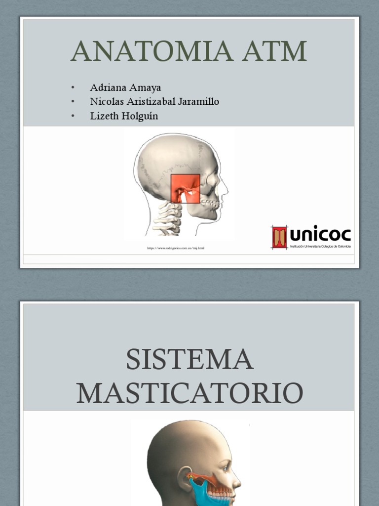 Presentacioìn ATM completa | PDF | Articulación | Cartílago