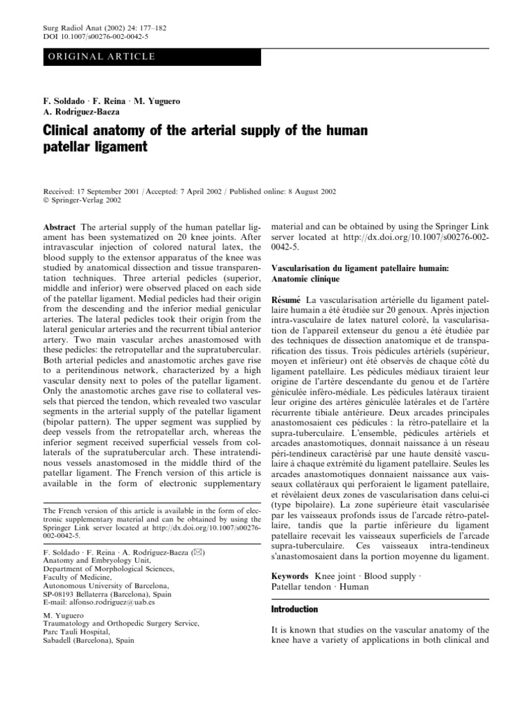 Anatomie Genunchi | PDF | Knee | Anatomical Terms Of Location