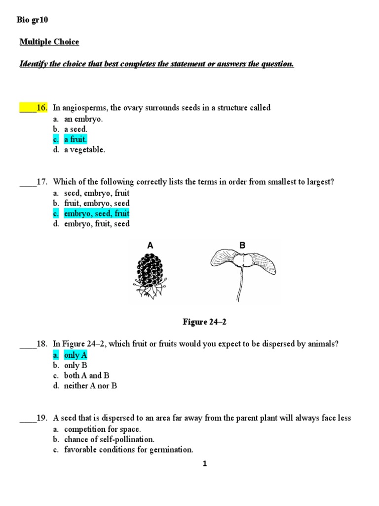 Model Answer Final Revision Sheet gr10 | PDF | Plant Hormone | Seed