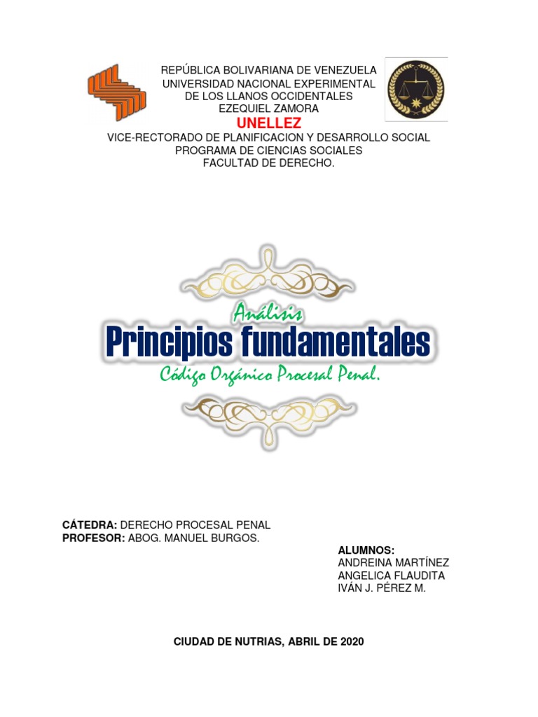 Analisis Principios COPP | PDF | Debido al proceso | Procedimiento Criminal