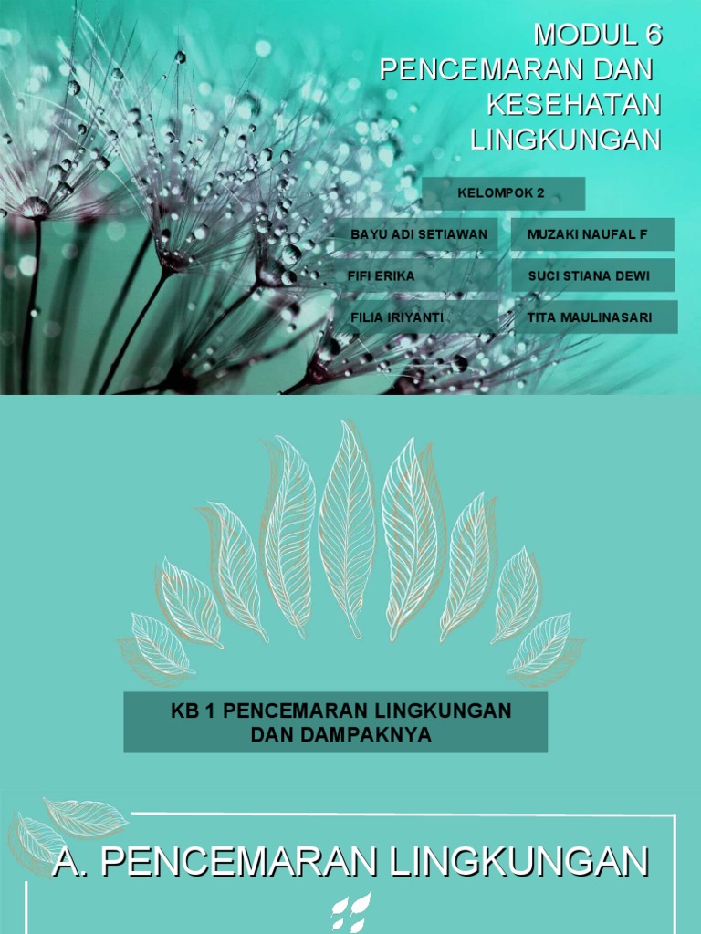 PLH Modul 6 Kelompok 2 | PDF