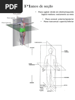Planos e Eixos | PDF | Anatomia | Crânio