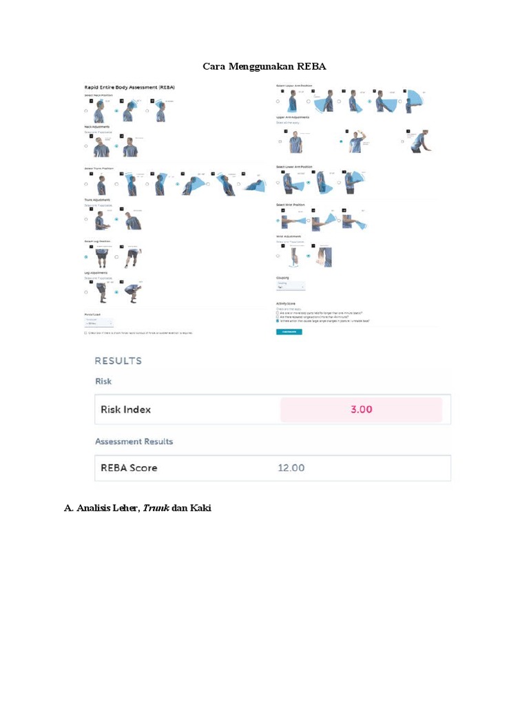 Cara Menggunakan REBA | PDF
