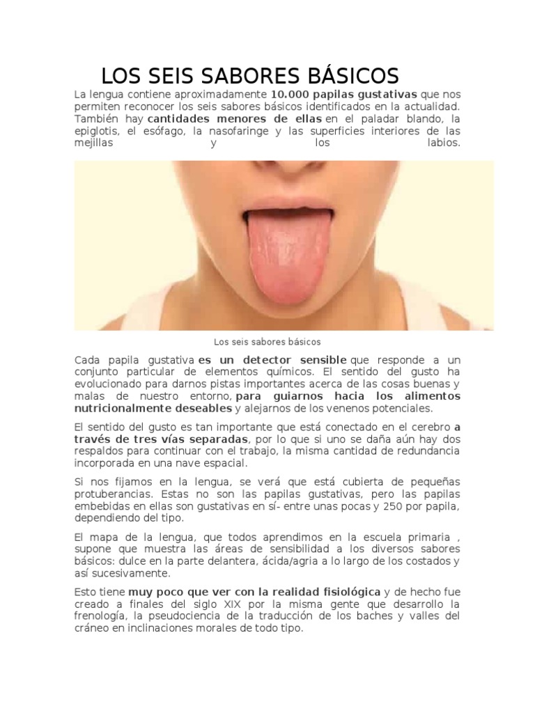 Los Seis Sabores Básicos | PDF