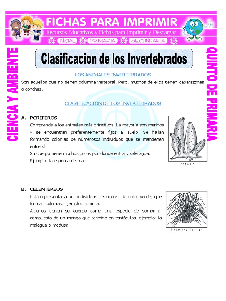 Ficha Clasificacion de Los Invertebrados para Quinto de Primaria | PDF