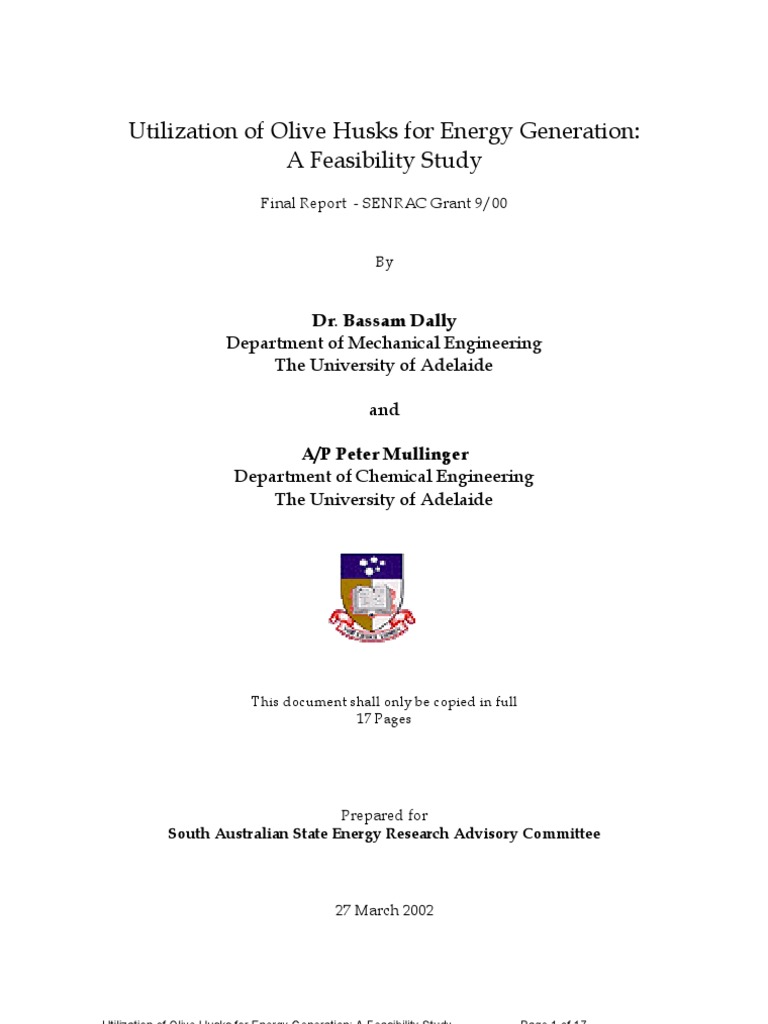 Olive Husks Final | PDF | Coal | Natural Gas