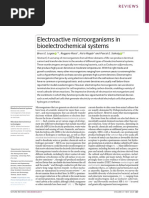 Elsevier SSRN - Word Template | PDF | Microsoft Word | Note (Typography)