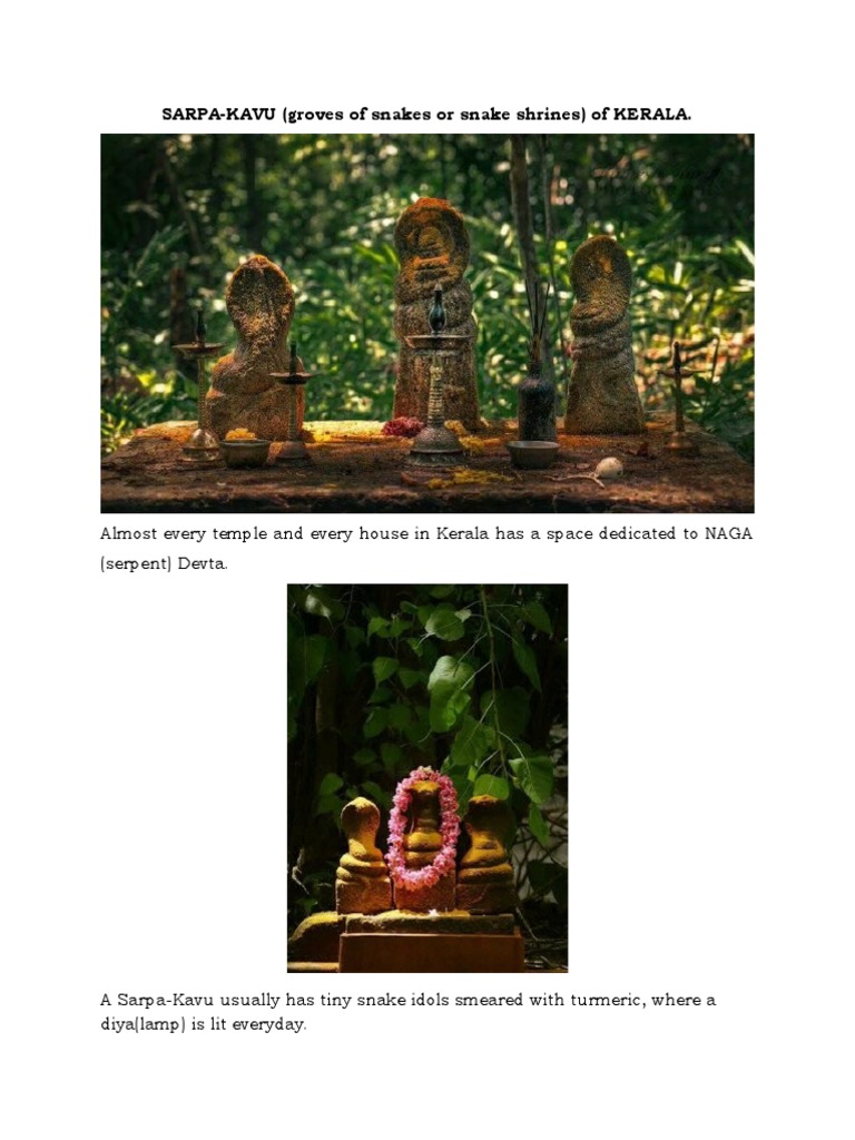SARPA-KAVU (Groves of Snakes or Snake Shrines) of KERALA | PDF | Snake ...