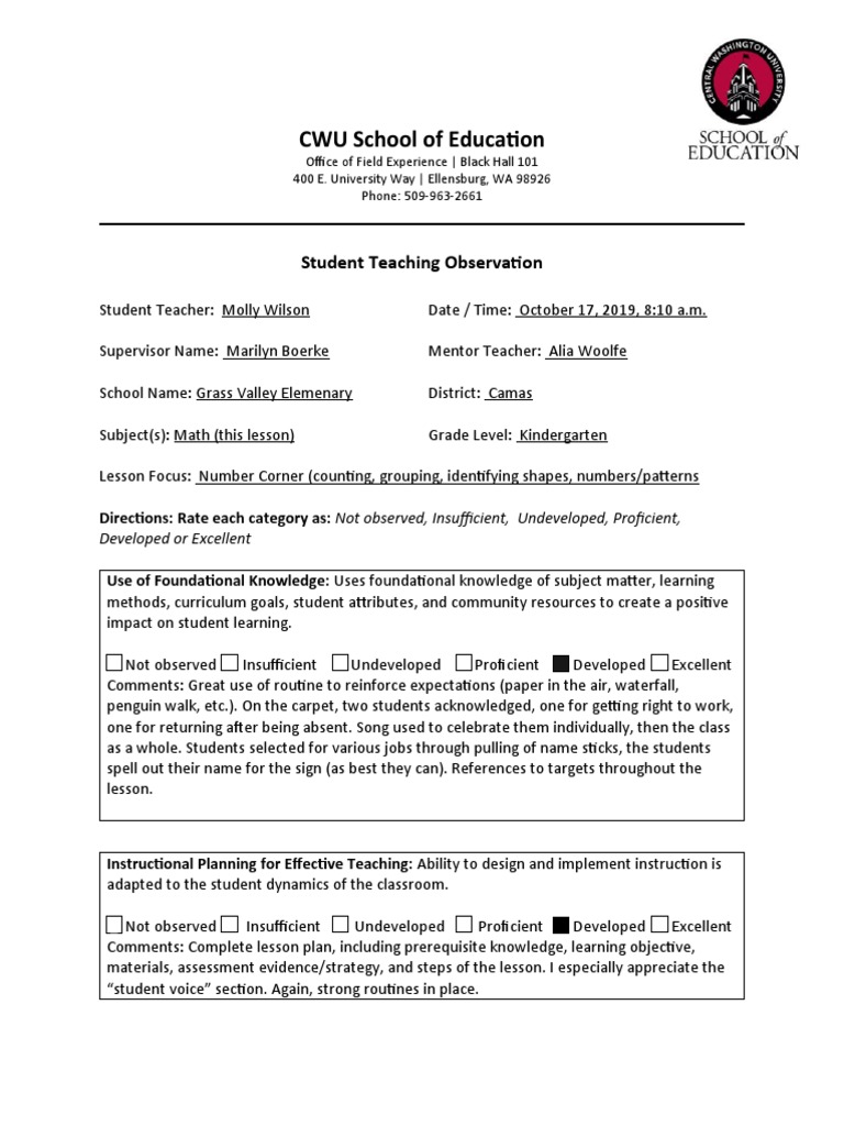 Molly Wilson Obs | PDF | Lesson Plan | Teachers