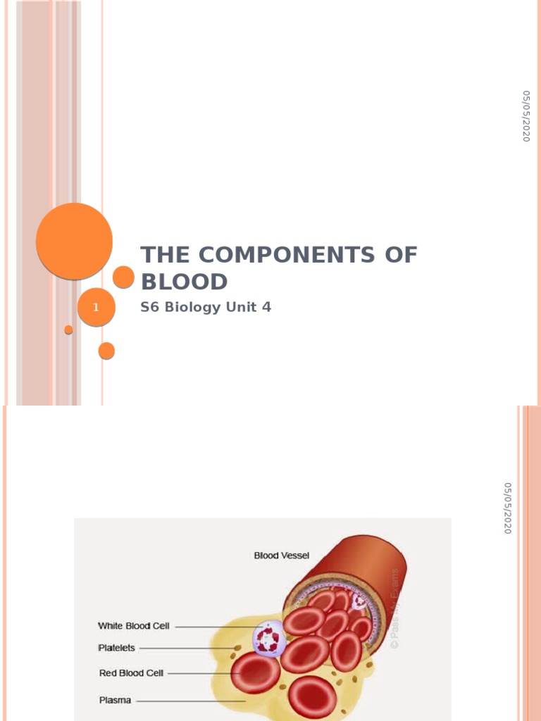 The Components of Blood: S6 Biology Unit 4 | PDF | Lymph | Blood