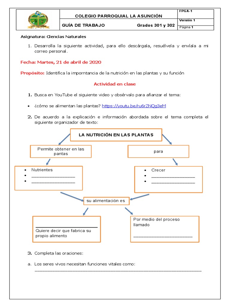 Guía de trabajo Nutrición en plantas | PDF | Nutrición | Dieta y nutrición