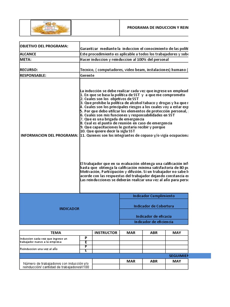 Programa de Induccion | Descargar gratis PDF | Business