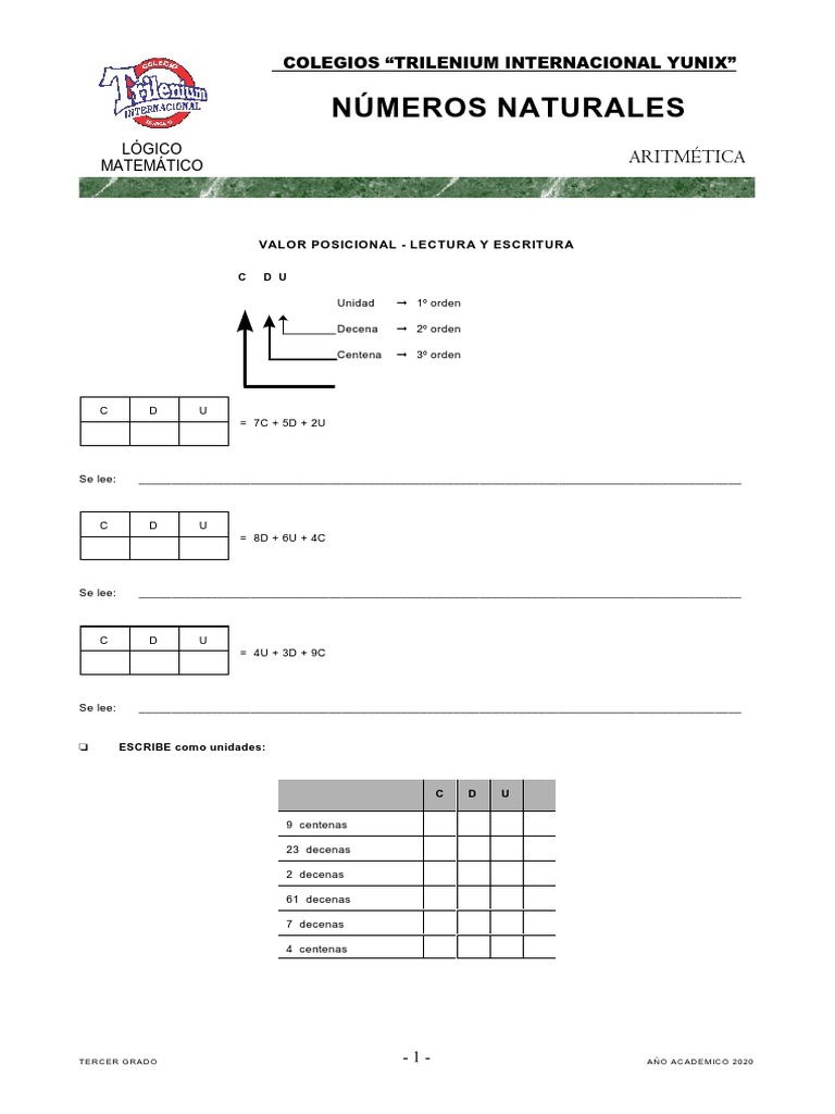 3er Prim. Matemática (Aritmética - Geometría) | PDF | Triángulo | Polígono