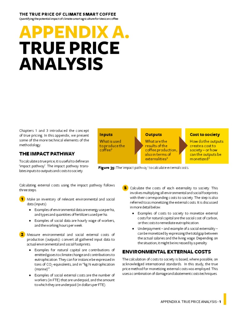 True Price Analysis: Appendix A | Download Free PDF | Return On ...