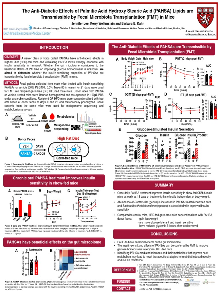 Poster Jennifer Lee | PDF | Insulin Resistance | Insulin