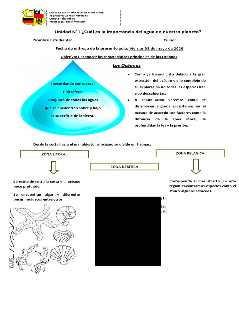 Guia 5° Ciencias Las Caracteristicas de Los Oceanos | PDF | Océanos ...