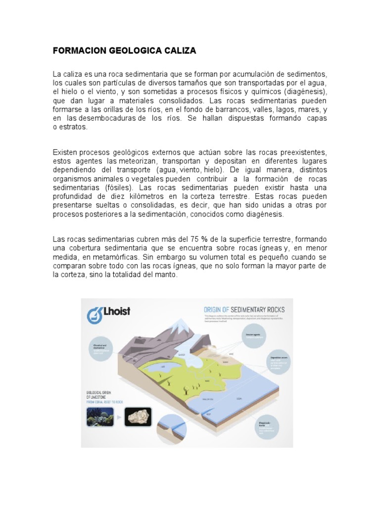 Caliza y Diabasa | Descargar gratis PDF | Roca sedimentaria | Caliza