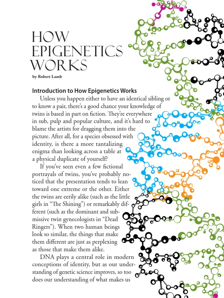 An Introduction To Epigenetics | PDF | Epigenetics | Heredity