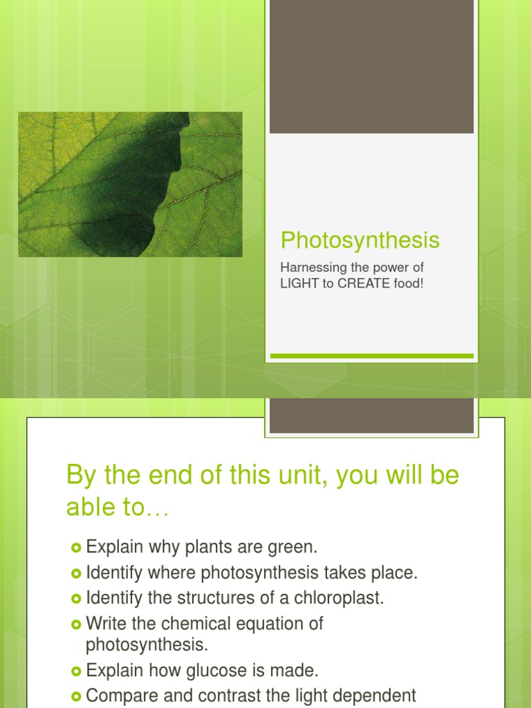 Understanding Photosynthesis Process | PDF | Photosynthesis | Chloroplast